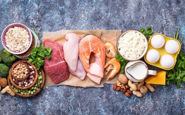 How Much Protein Is in One Roti? Complete Breakdown